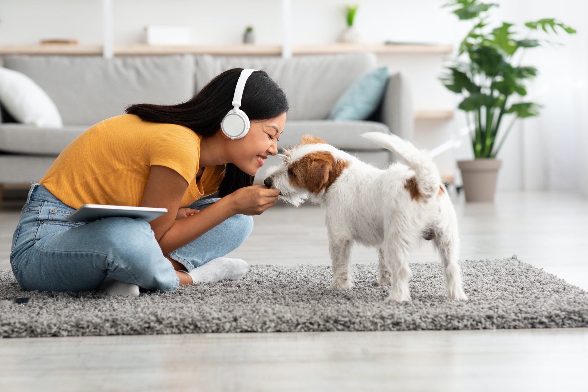 Living With Pets: A Paw-some Guide for Homeowners – Grand Tower